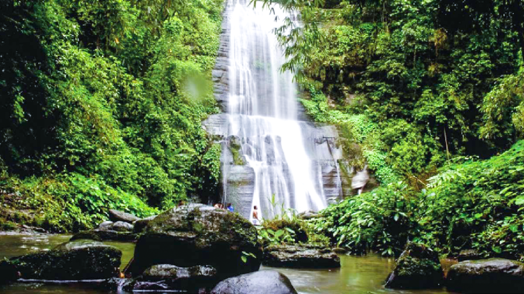 Tourist Spot | The Natural View Of Tea Villa Luxury Resort